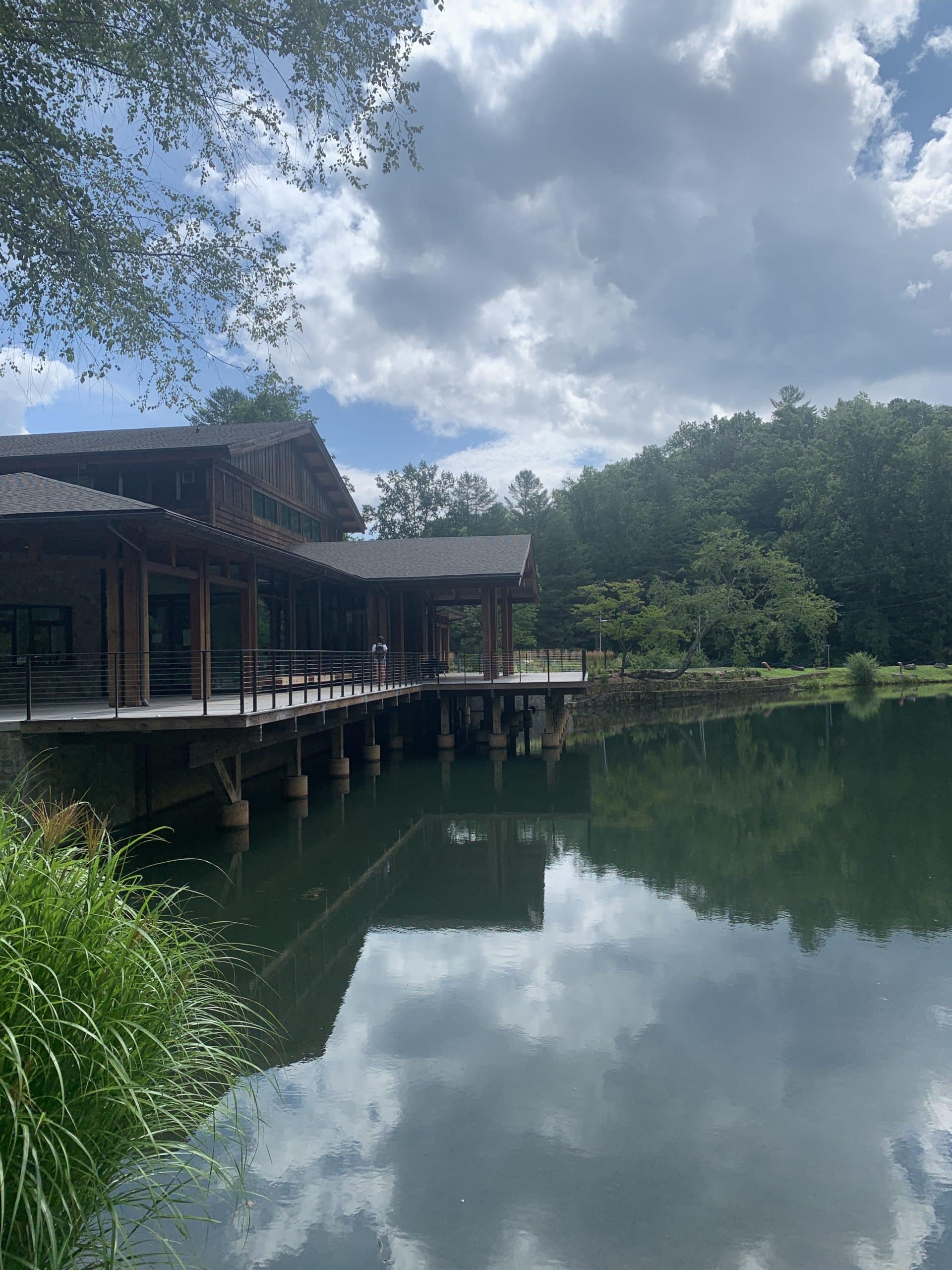 My Summer at Brevard Music Center Summer Institute - Chicago Musical ...